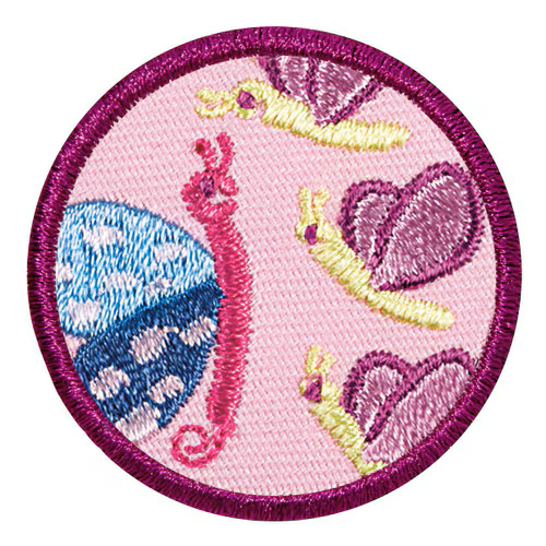Junior Social Butterfly Badge – Girl Scouts in the Heart of PA